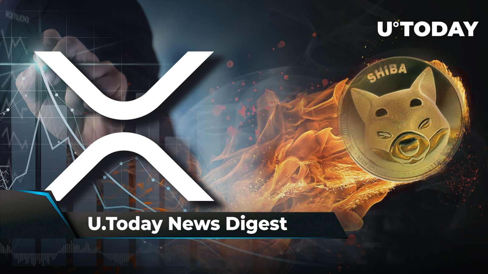 XRP Shows Dangerous Pattern, SHIB Burn Rate Spikes 1,318%, XRP Holders to Receive Airdrop from ...